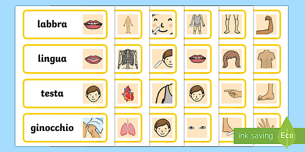 Le Parti del Corpo Parole Illustrate (teacher made) - Twinkl