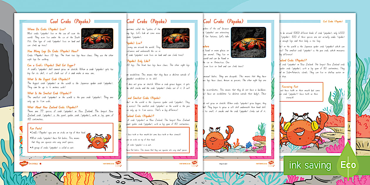 Starry-Eyed Stan me āna Hoa o te Moana Cool Crabs Fact File