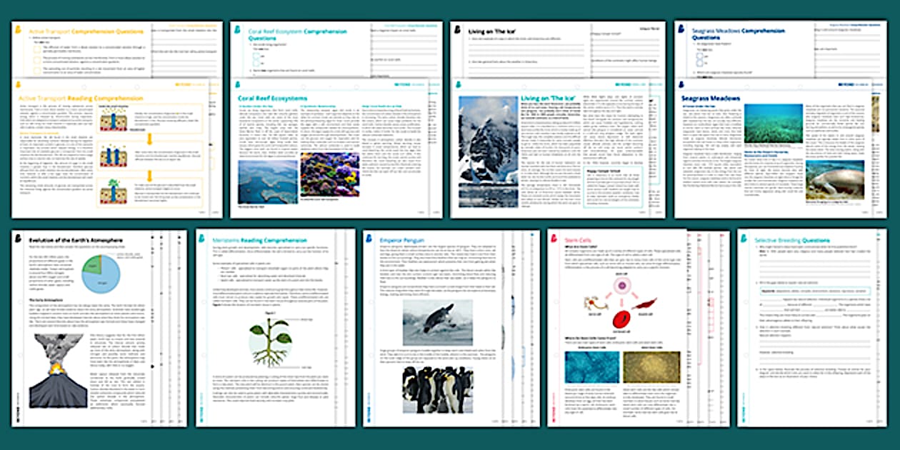 Science Reading Comprehension Bundle | KS3 / GCSE | Beyond