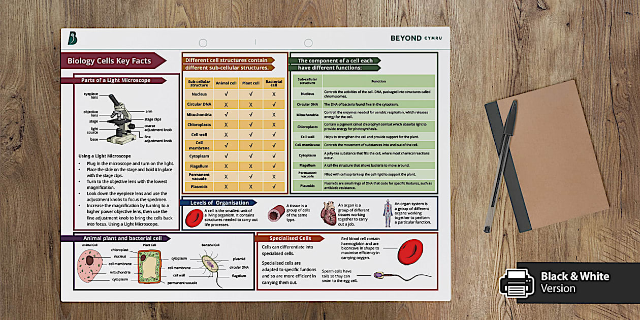 Biology Activity Mat: Cells (teacher made) - Twinkl