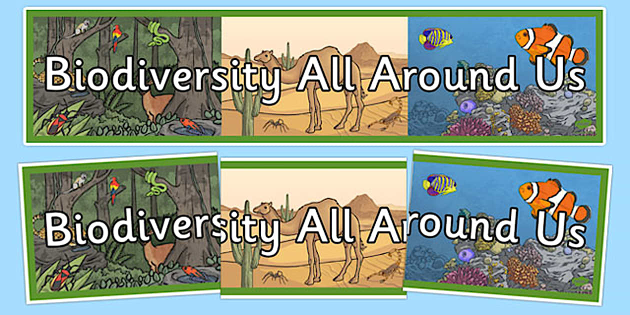 Biodiversity All Around Us Display Banner (teacher made)