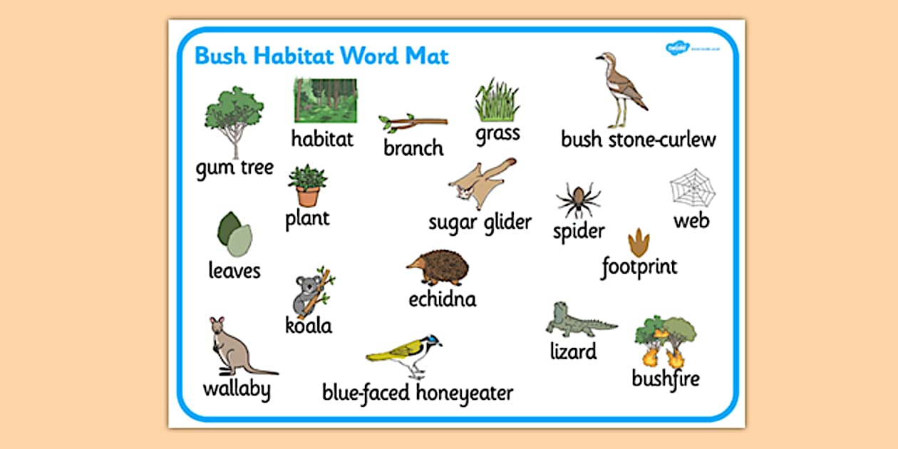 Cursive Bush Habitat Word Mat (teacher made) - Twinkl