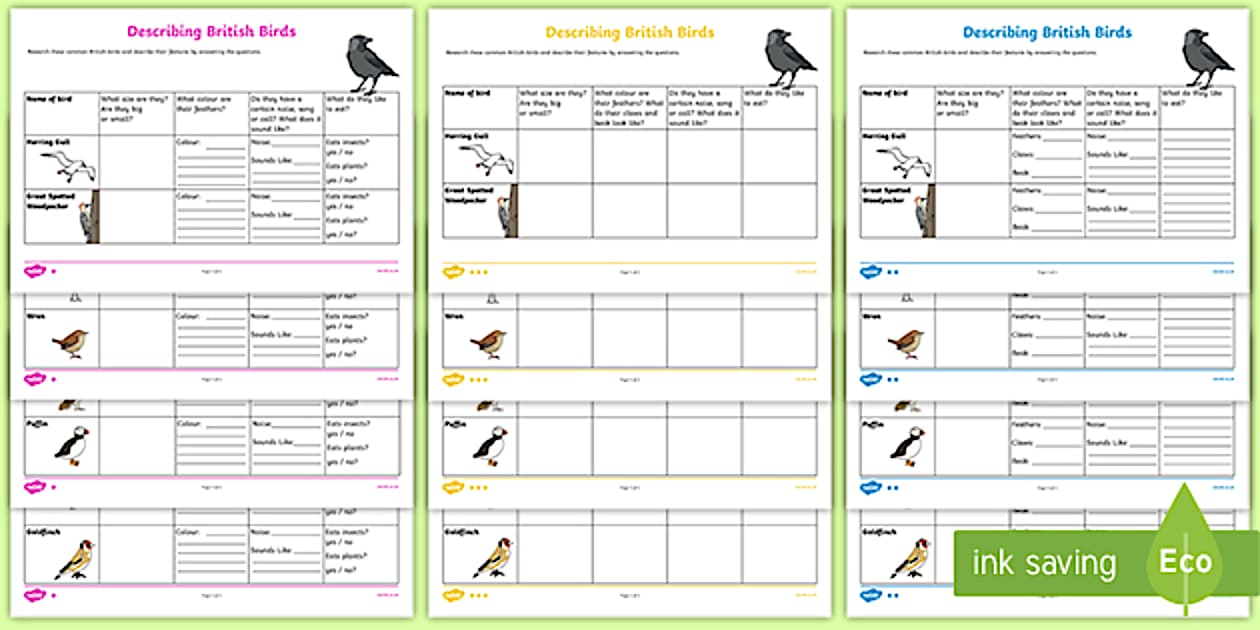 Bird Descriptive Writing Activity (teacher made) - Twinkl