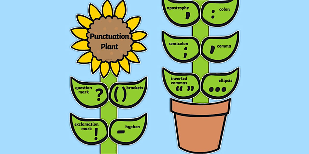 Editable Punctuation Flower Display (teacher made) - Twinkl