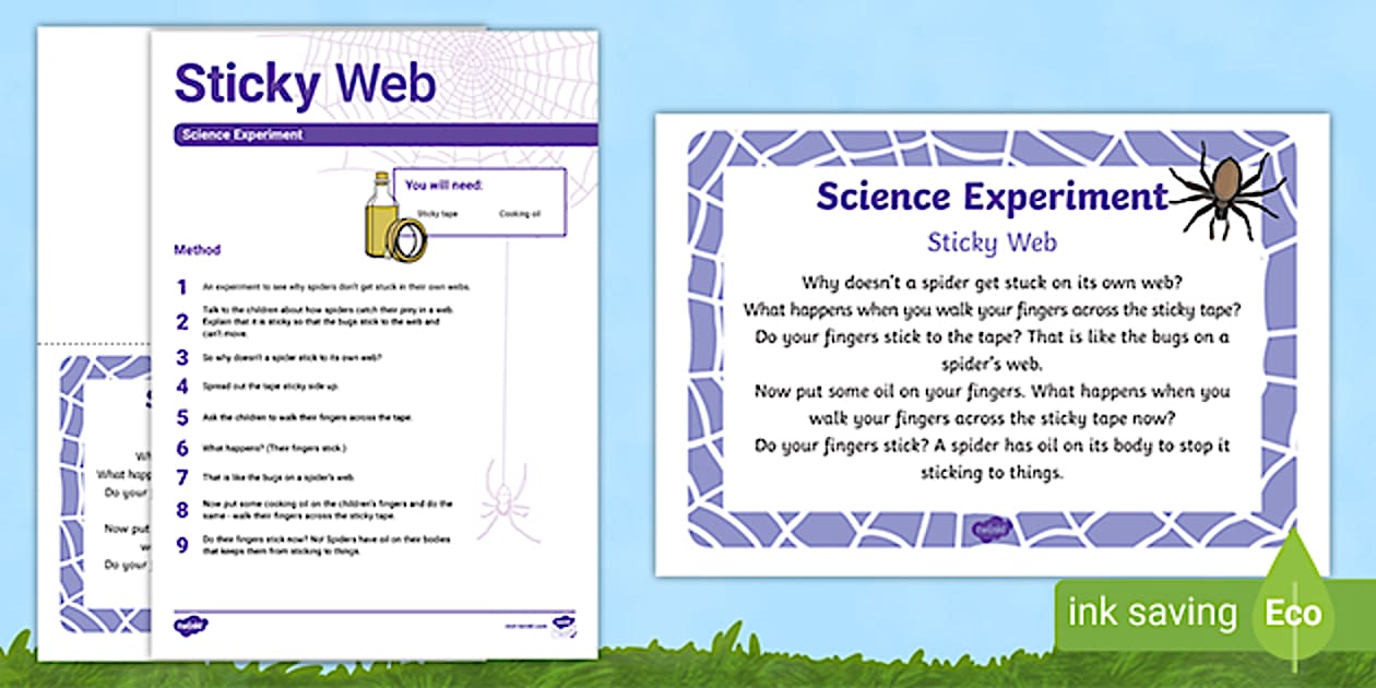 Sticky Web Science Experiment (teacher made) - Twinkl