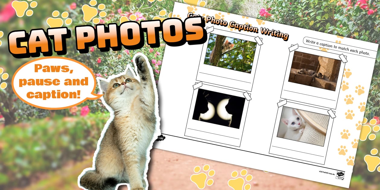 * NEW * Cats Photo Caption Writing Template
