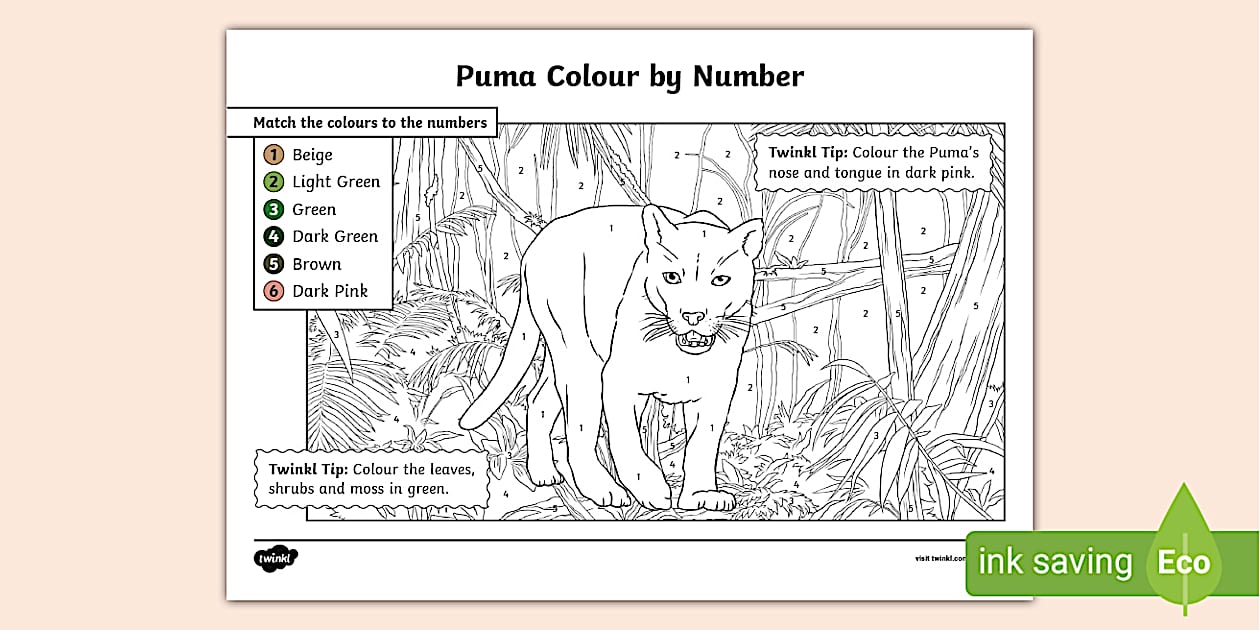 Puma Animal Colour-by-Number Worksheet | Twinkl | KS1