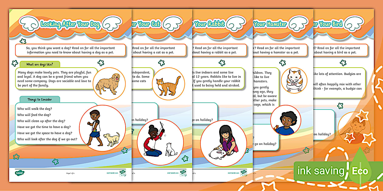 Looking After Your Pet Information Pack (Ages 5 - 7)