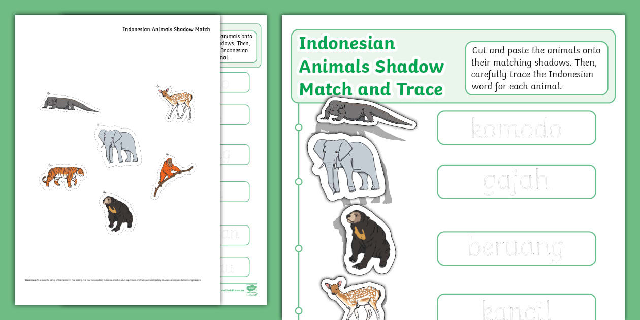 Shadow Match Indonesian Animals - Indonesian - Twinkl