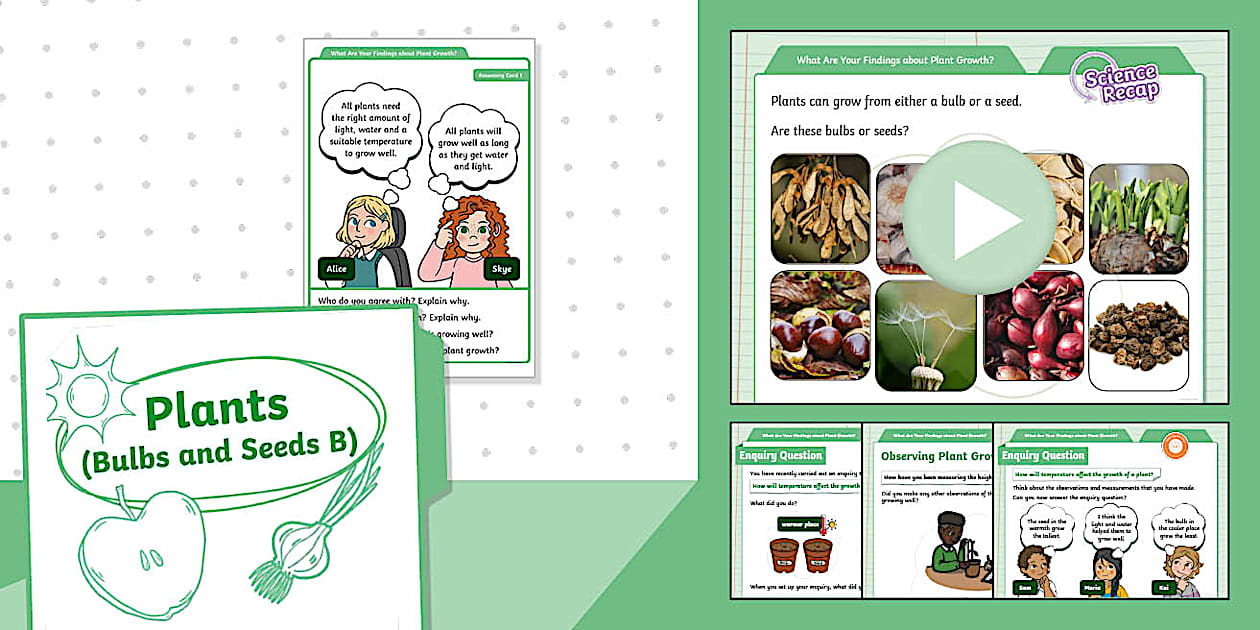 Step into Science: Year 2: Summer: Block 3: Plants (Bulbs and Seeds B) Step 1