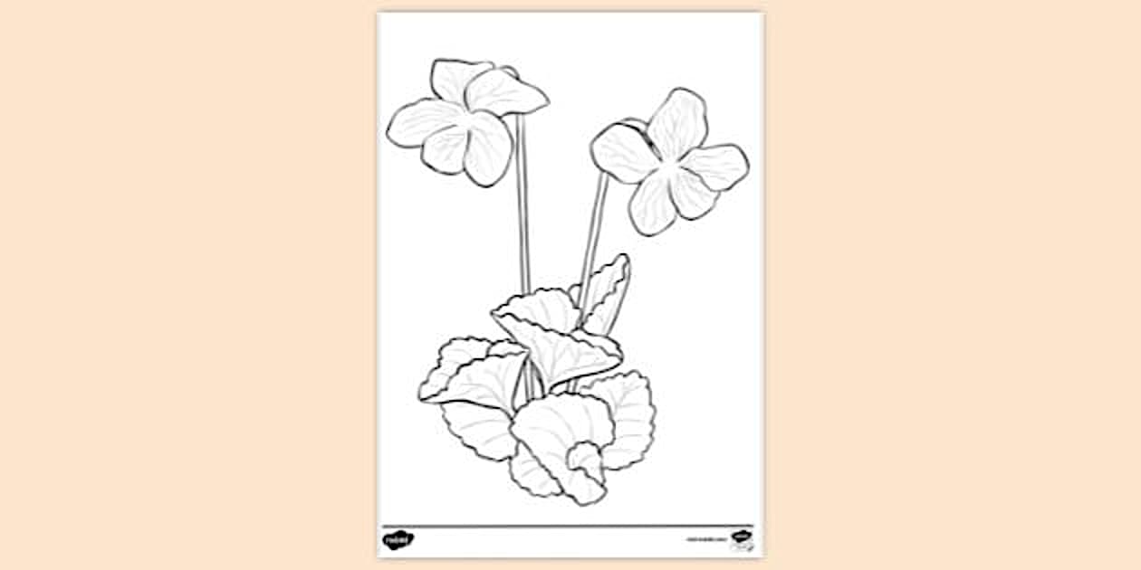 Colouring Page Violet | Colouring Sheets (Teacher-Made)