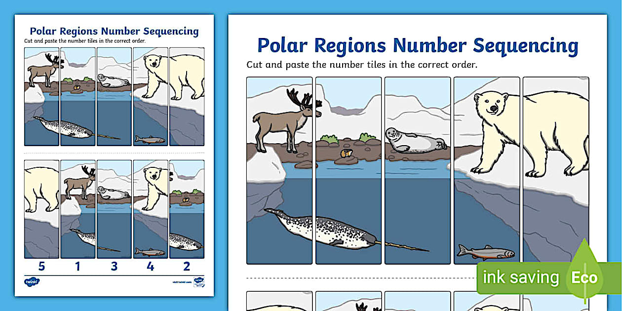 Polar Regions Number Sequencing Puzzle (Teacher-Made)