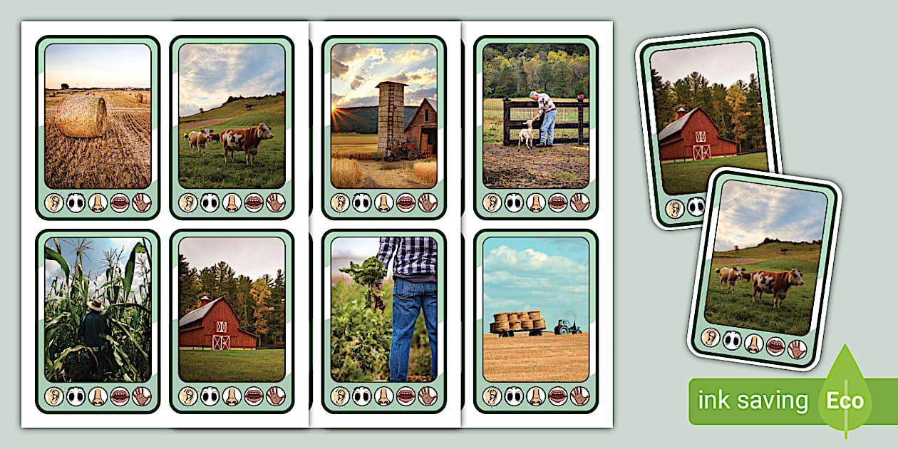 Farm Story Setting Photo Prompt Cards (teacher made)