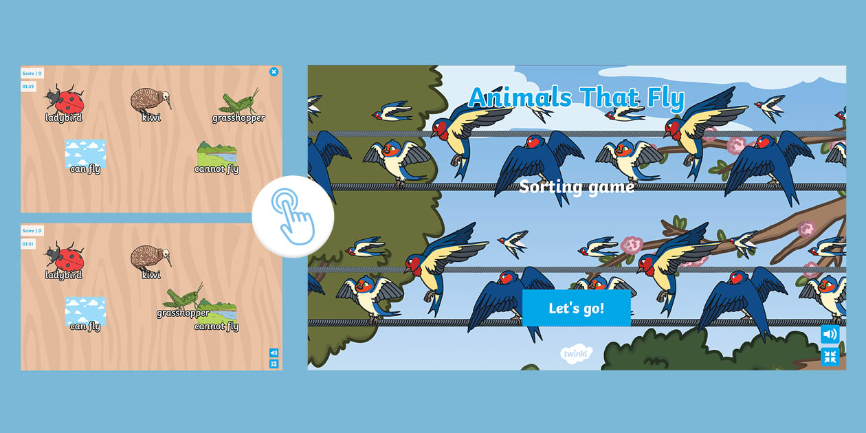 Animals That Fly Interactive Sorting Game (Teacher-Made)