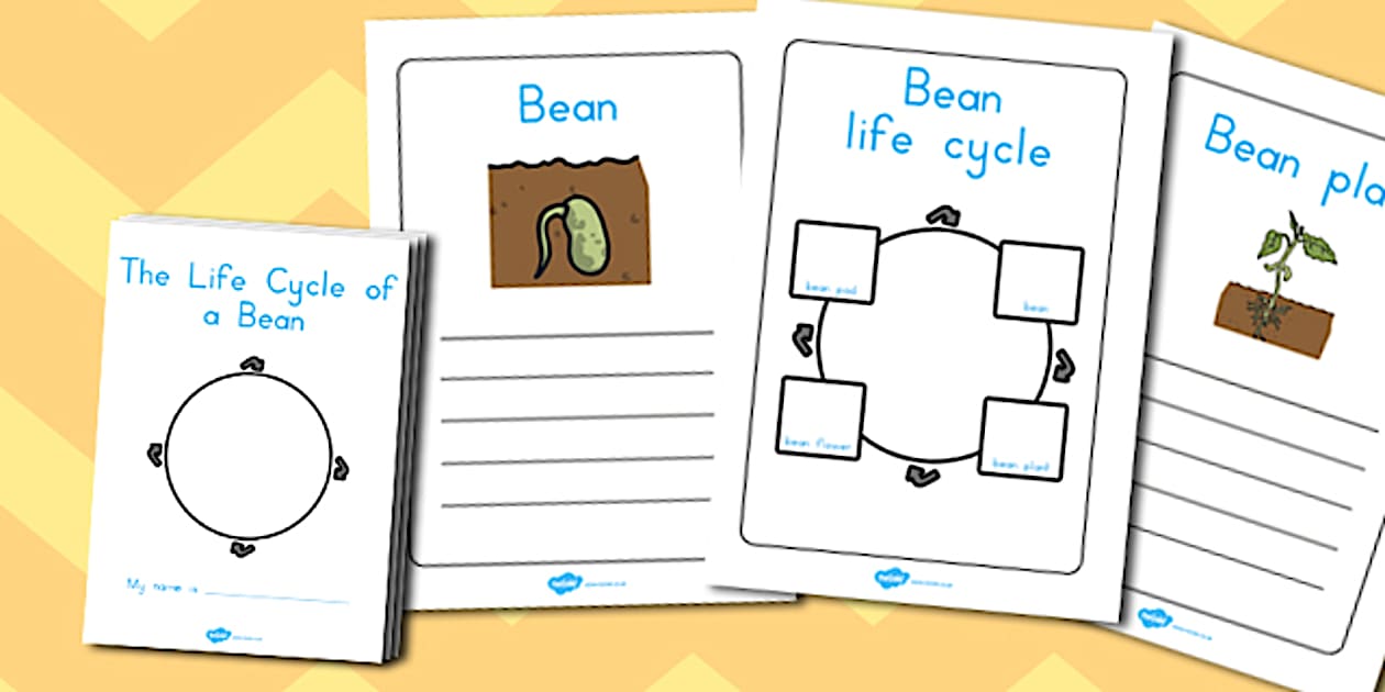 Bean Growth Workbook (Teacher-Made) - Twinkl