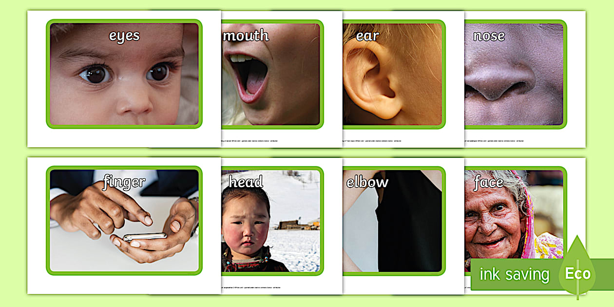 Human Body Parts Images PDF Pack | Human Body Photo Pack