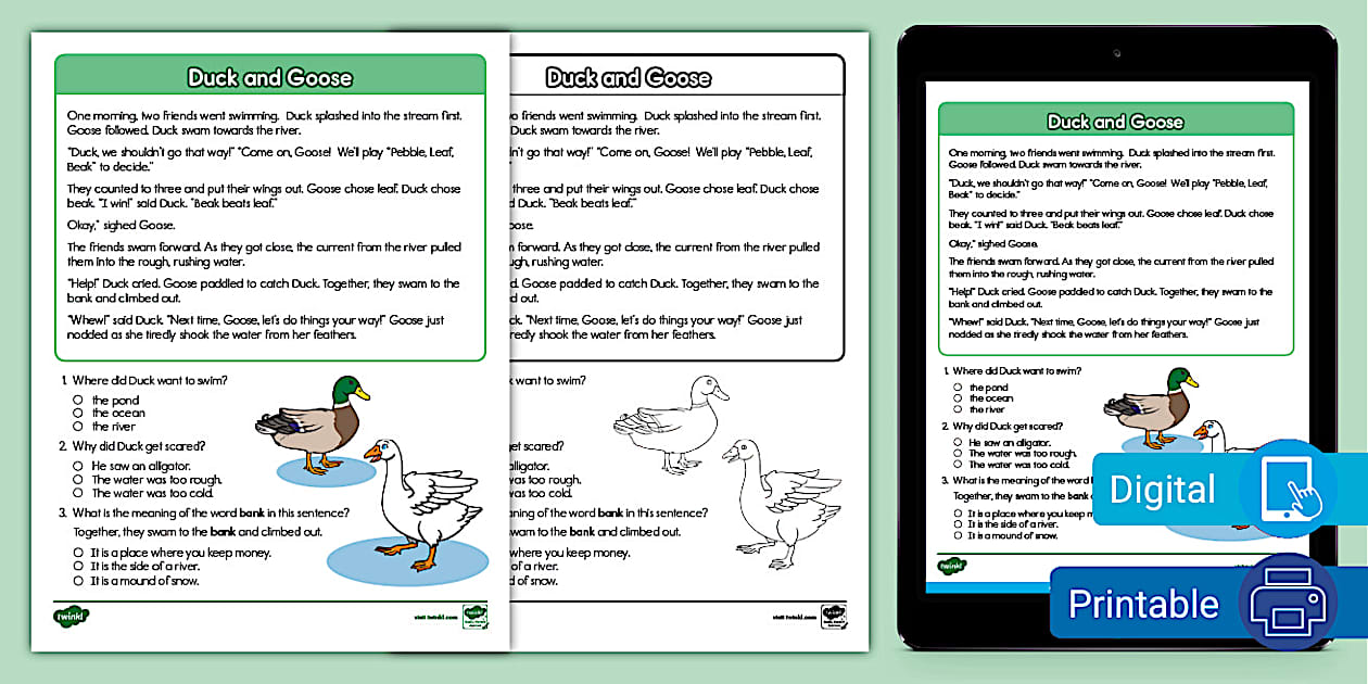 Second Grade Duck and Goose Reading Comprehension | Twinkl