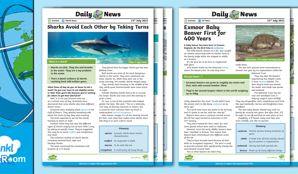 Weekly Comprehension Pack - Twinkl NewsRoom - Twinkl