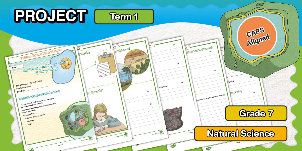 Grade 7 Natural Science Term 1 Project (CAPS Aligned)