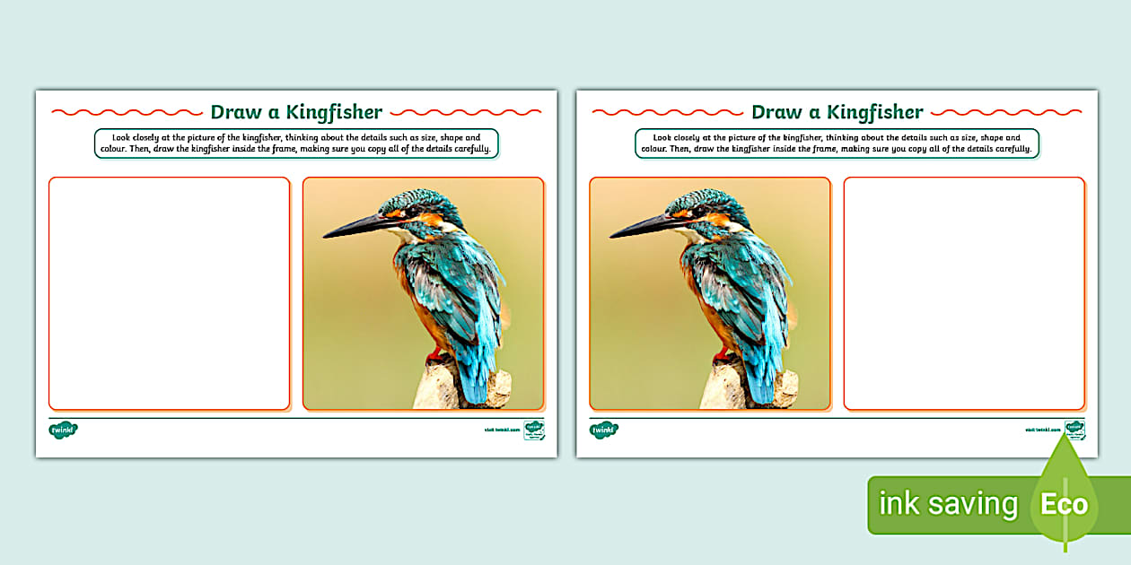 Draw a Kingfisher Art Activity,kingfisher (teacher made)