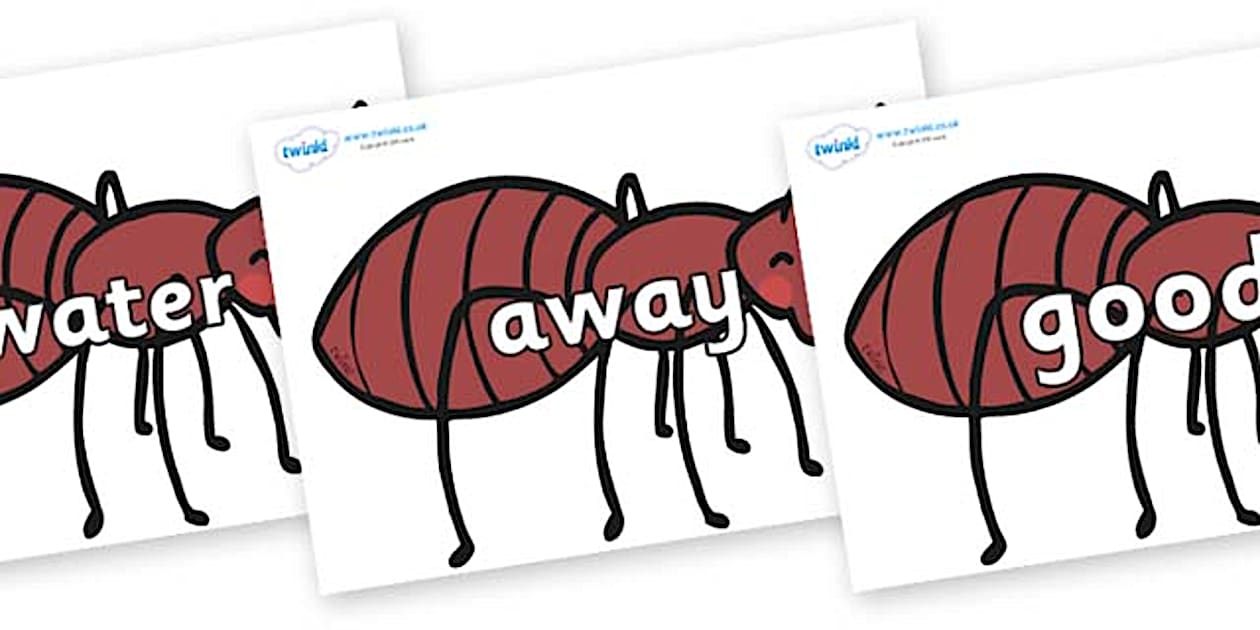 Next 200 Common Words on Ants - Next 200 Common Words on
