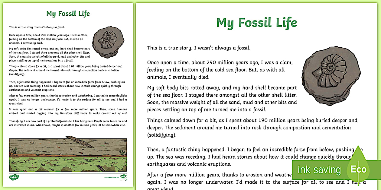Fossil Formation Letter (Teacher-Made) - Twinkl