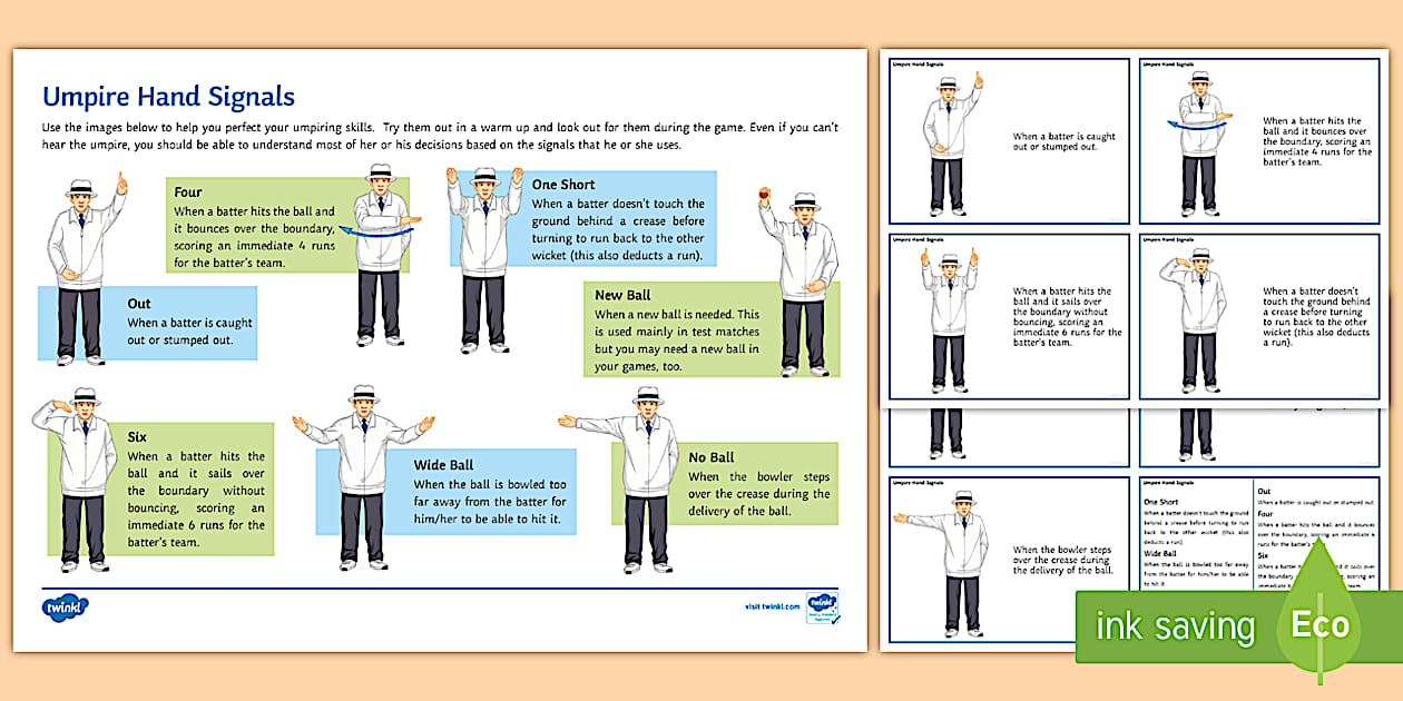 Cricket Umpire Signals Cards (teacher made) - Twinkl
