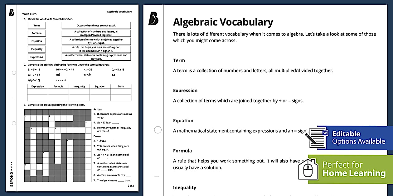 👉 Algebraic Vocabulary | Beyond Secondary (teacher made)