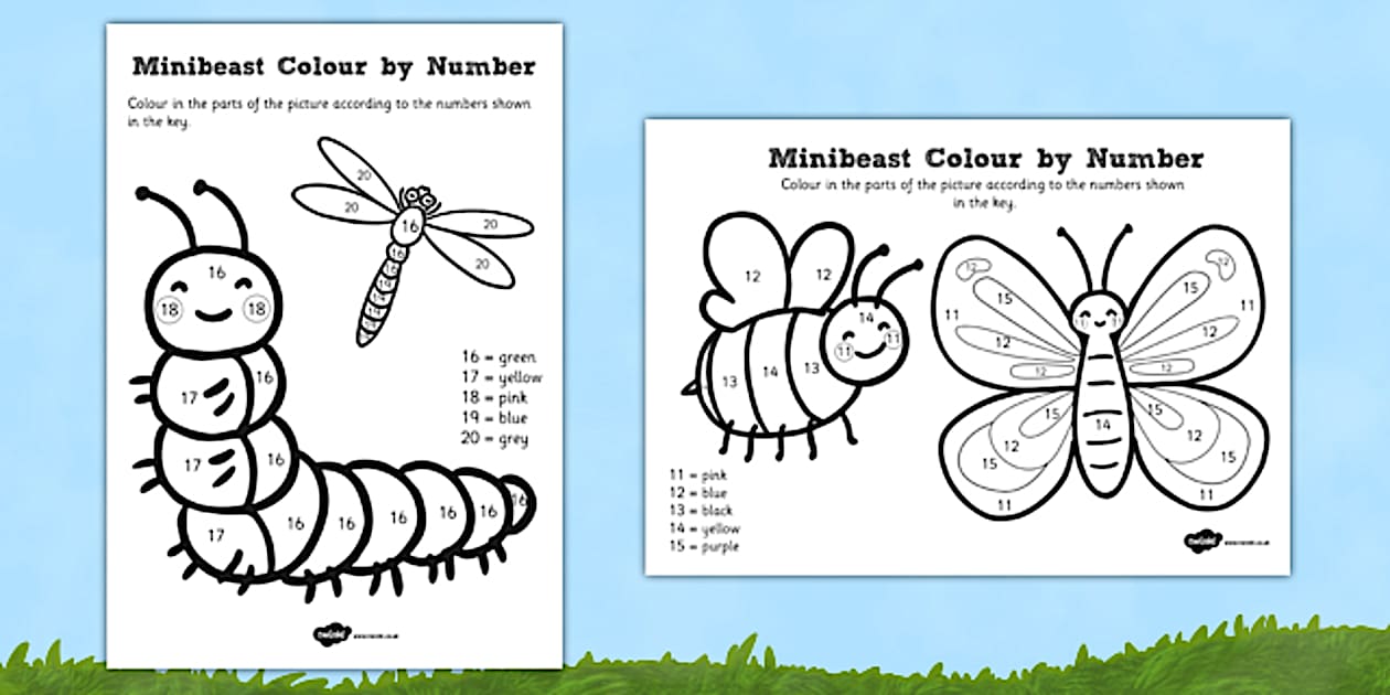 Minibeast Colour by Number 11-20 (teacher made) - Twinkl
