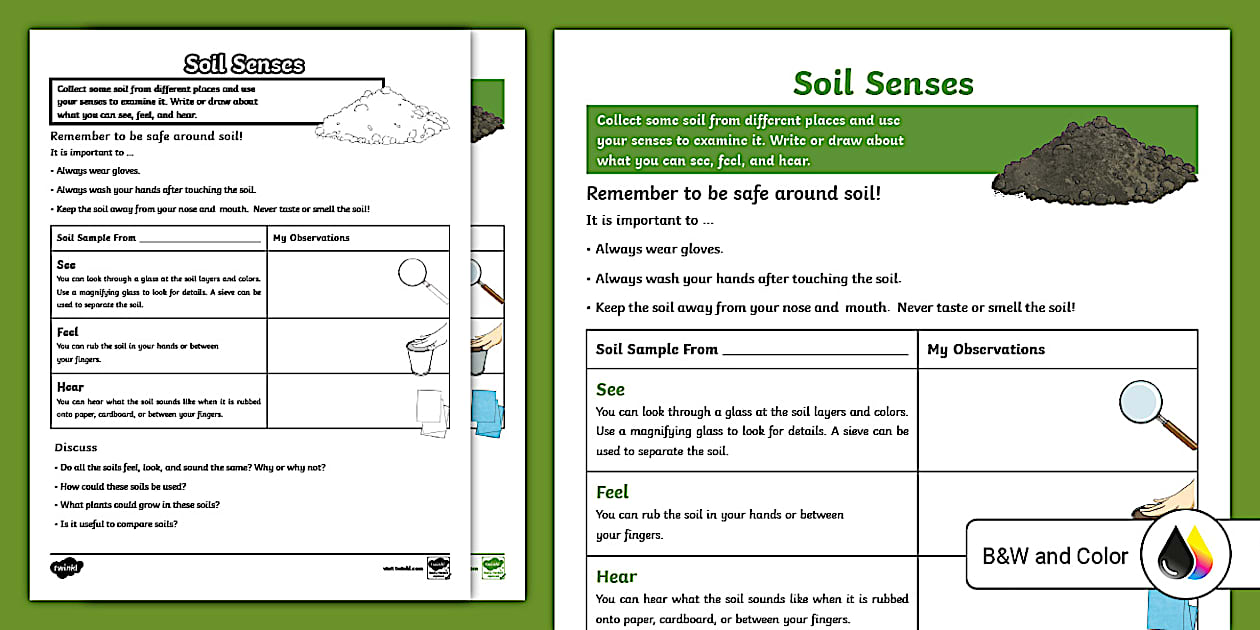 Soil Senses Worksheet for 3rd-5th Grade (teacher made)