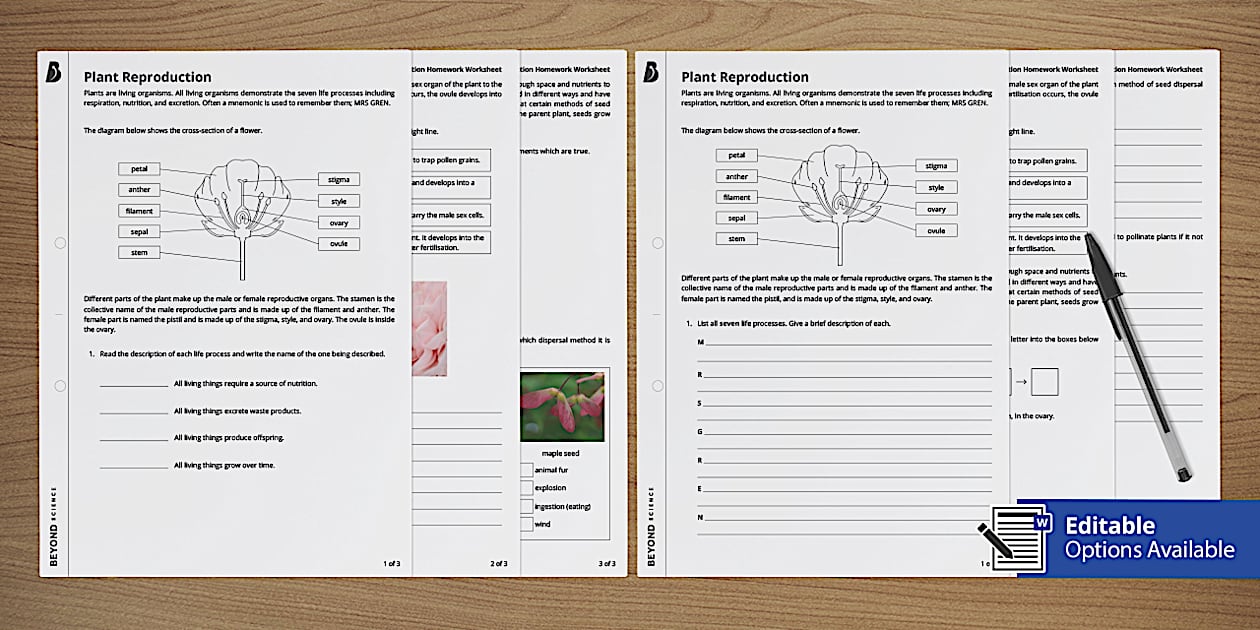 Editable Plant Reproduction Worksheets - Differentiated Homework