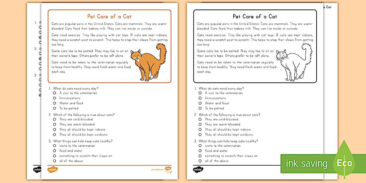 Second Grade Pet Care of a Cat Reading Passage Comprehension Worksheet