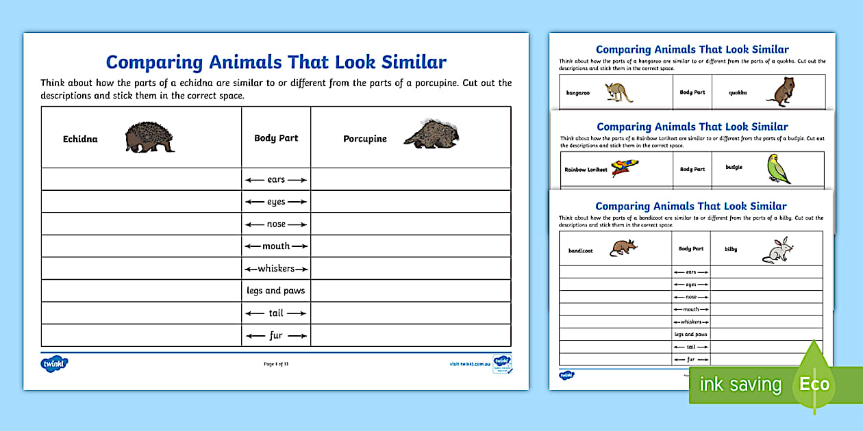Comparing Similar Animals Worksheets (teacher made) - Twinkl