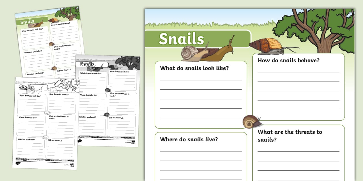 Snails Fact File Template - Twinkl Writing - Twinkl