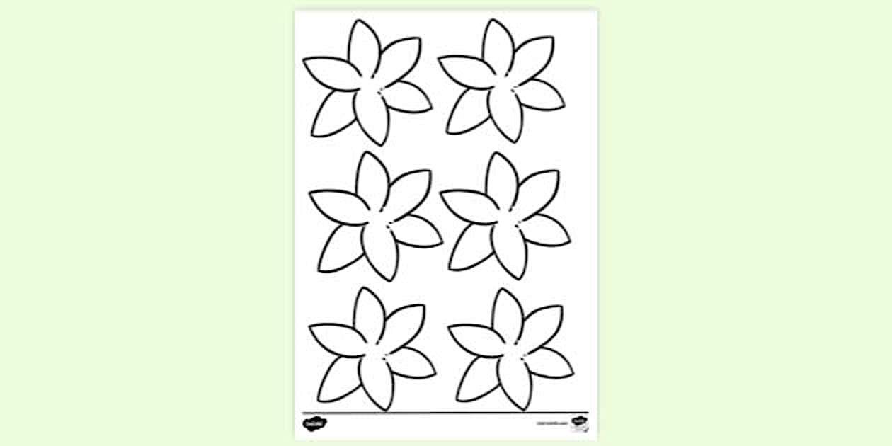 Wood Anemone Colouring Page - Teaching Resources - Twinkl