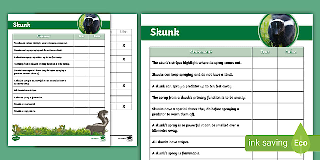 Skunk True or False Activity - Grades 4-6 - Twinkl