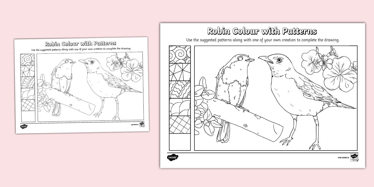 Robin Colour with Patterns Activity (teacher made) - Twinkl