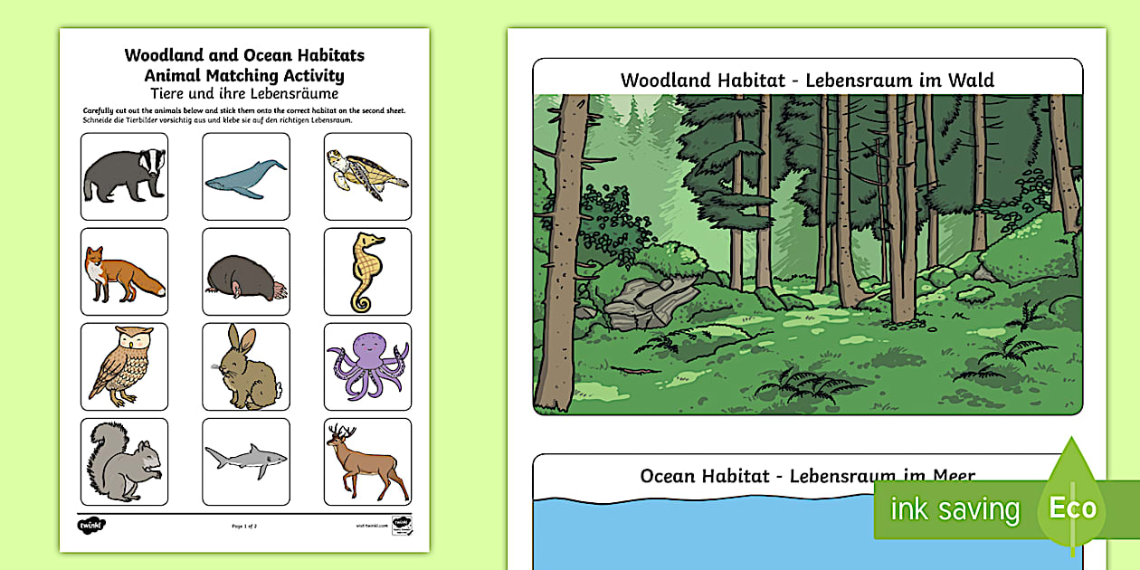 Black and White Woodland and Ocean Habitats Animal Sorting Worksheet