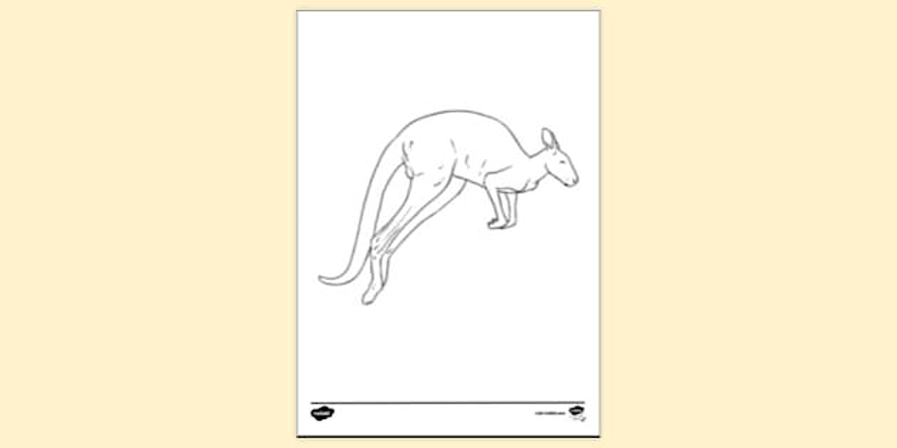 Kangaroo Hopping Colouring Sheet | Colouring Sheets - Twinkl