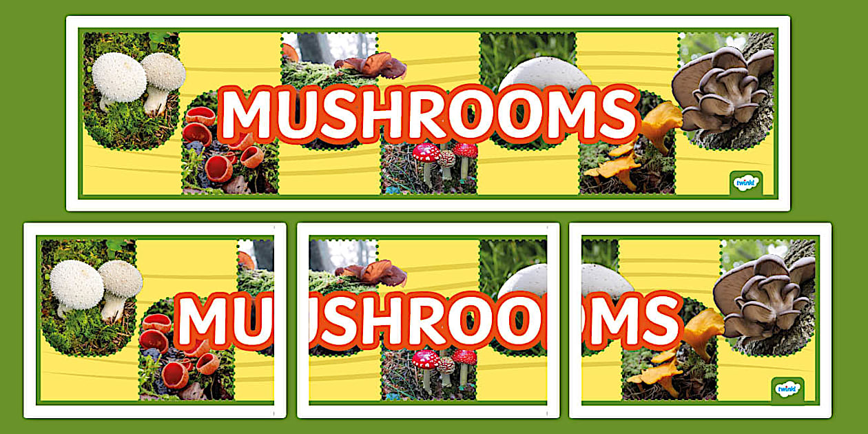 Mushroom Banner (Teacher-Made) - Twinkl