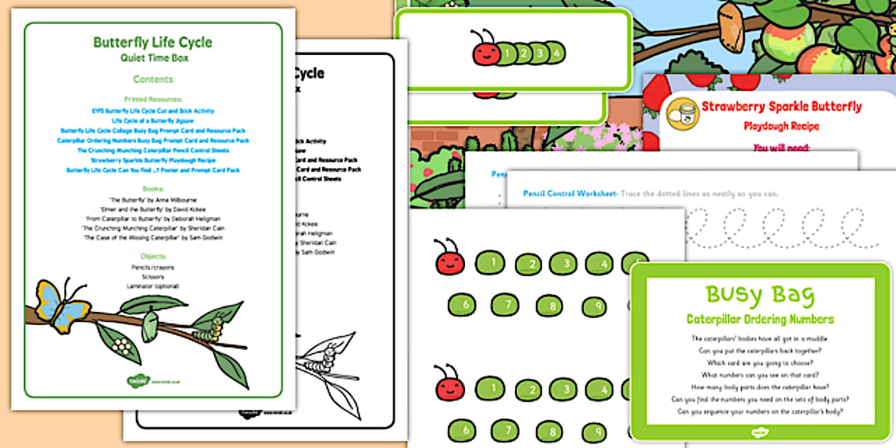 Butterfly Life Cycle Quiet Time Box