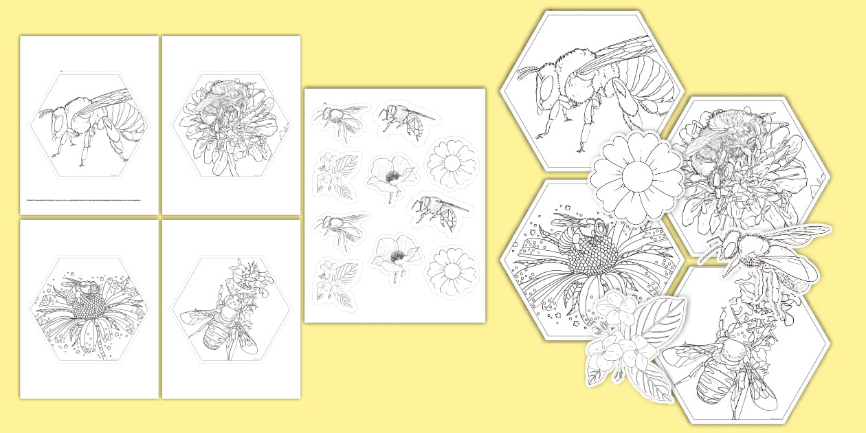 World Bee Day Hexagon Display Colouring Activity - Twinkl