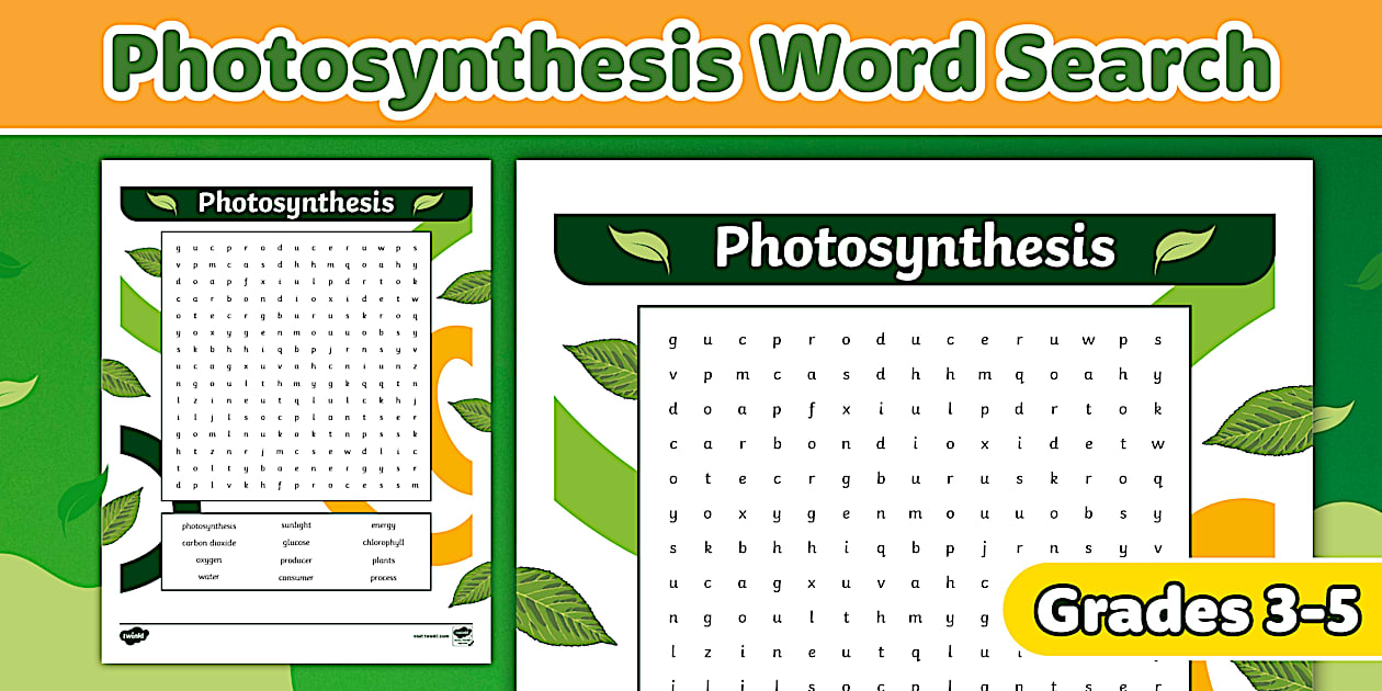 Photosynthesis Word Search for 3rd-5th Grade