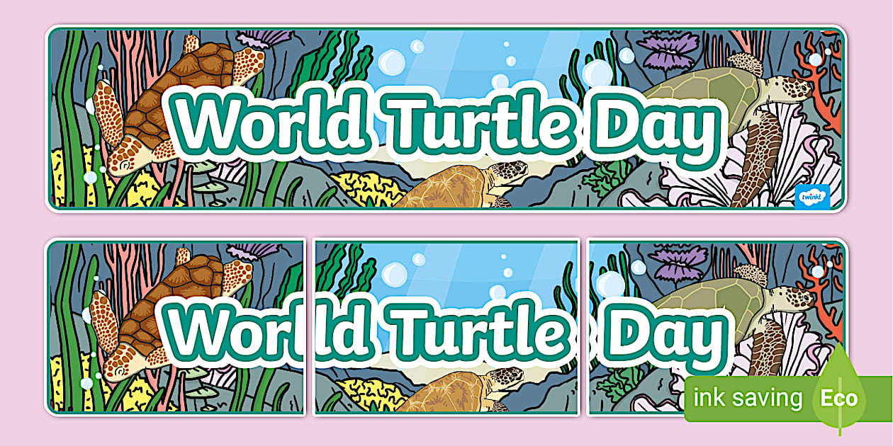 World Turtle Day Display Banner (professor feito) - Twinkl