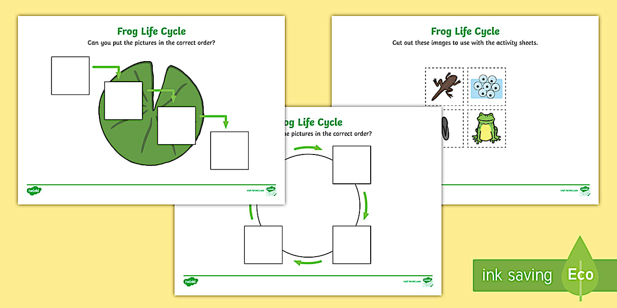 Life Cycle of a Frog Worksheets for Children (teacher made)