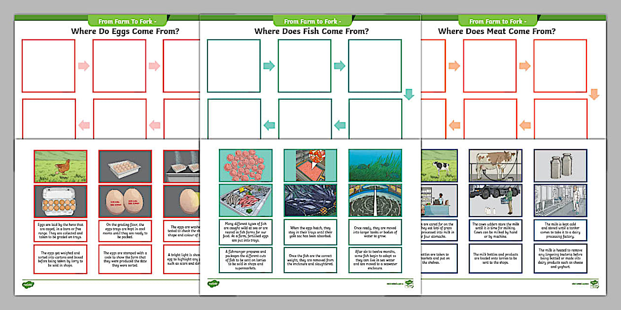 From Farm to Fork: Various Food Step by Step Process Ordering Activity Pack