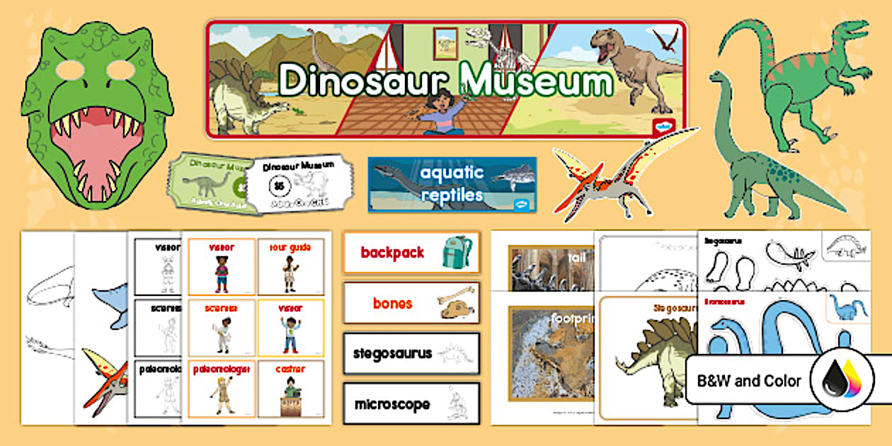 Dinosaur Museum Dramatic Play Pack for Kids | Twinkl USA