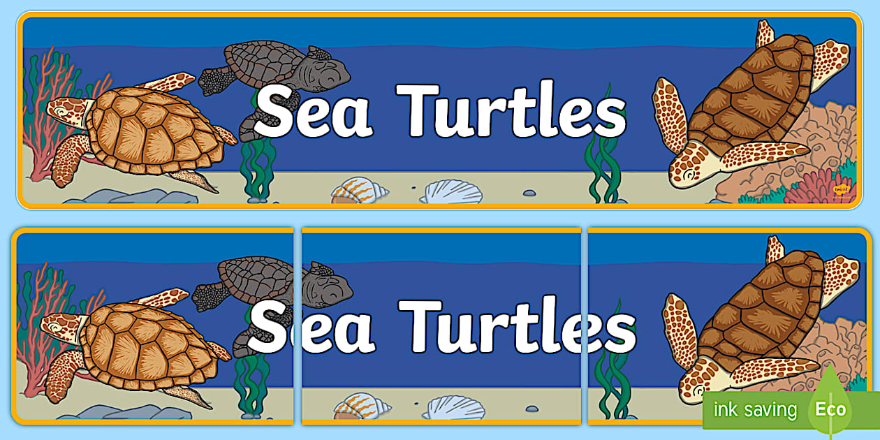 Editable Sea Turtles Display Banner (teacher made) - Twinkl