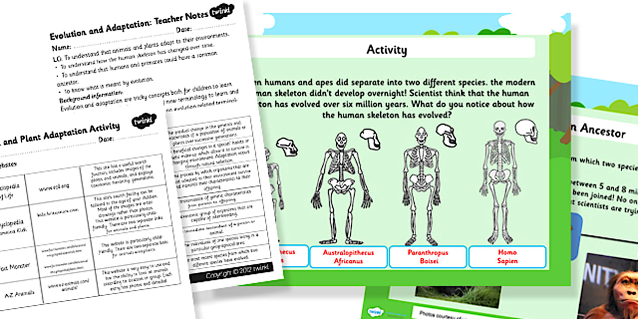 Evolution and Adaptation Year 4 Task Setter PowerPoint