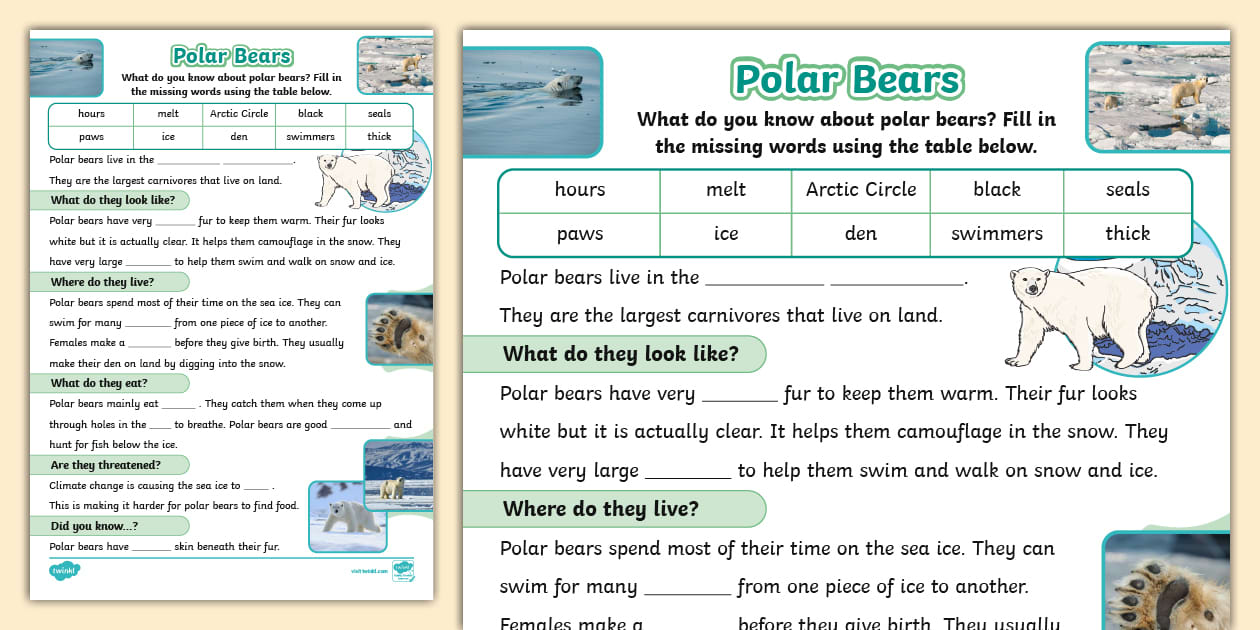 Polar Bear Cloze Worksheet - Twinkl - KS1 (teacher made)